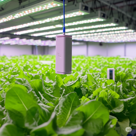 Growlink - Crop Steering Simplified